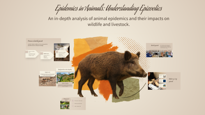 Epidemics in Animals: Understanding Epizootics by barbora cesnekova on ...