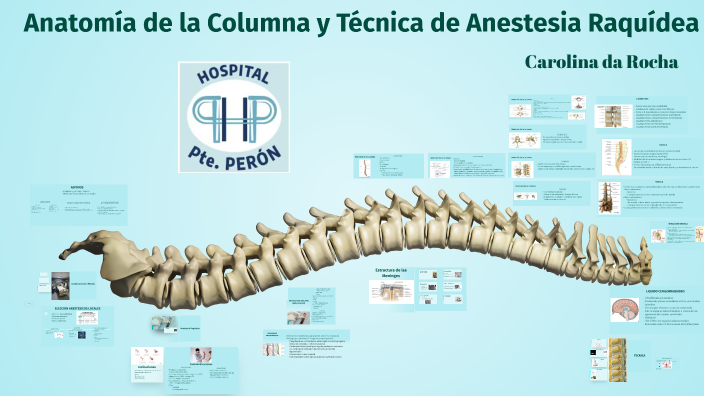 Anatomía de la Columna y Meninges: Técnica de Anestesia Raquídea by on ...