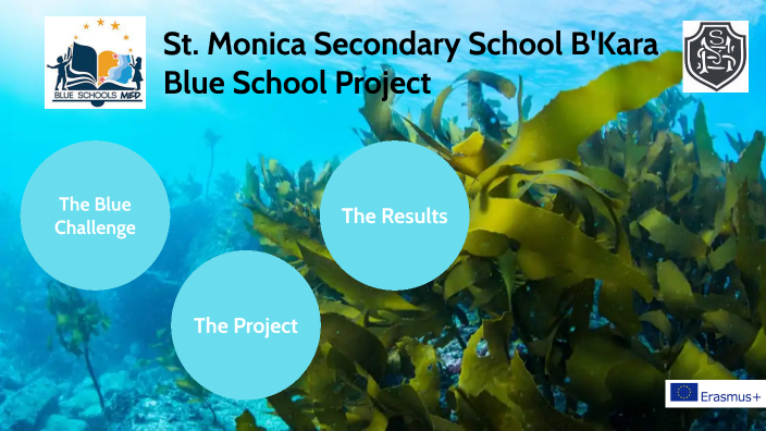 Blue School Project by Sandra Farrugia on Prezi
