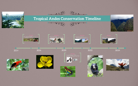 TImeline Conservation Plan for Tropical Andes by Julia Woltjen