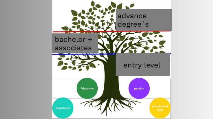 career tree by Kaylee Kovach on Prezi