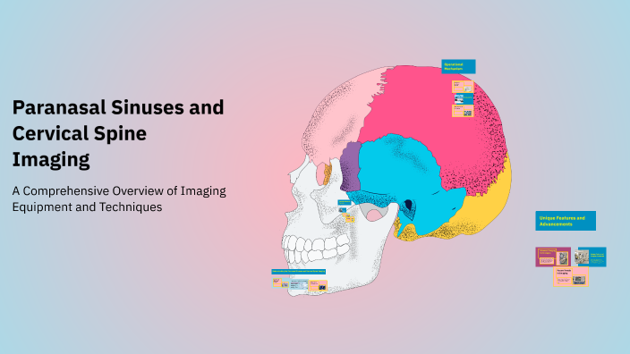 Paranasal Sinuses and Cervical Spine Imaging by Nivedetha V on Prezi