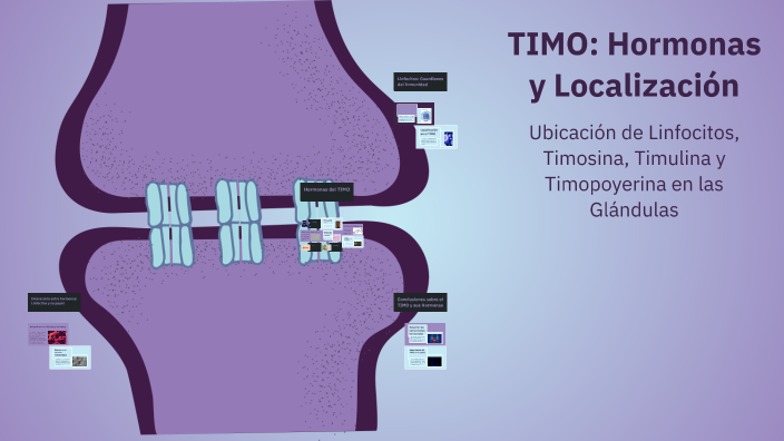 TIMO: Hormonas y Localización by Angélica Coello on Prezi