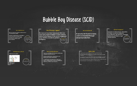 Bubble Boy Disease (SCID) by Riley Norman on Prezi