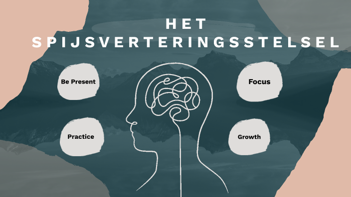 spijsvertering by Bentley Vreriks on Prezi