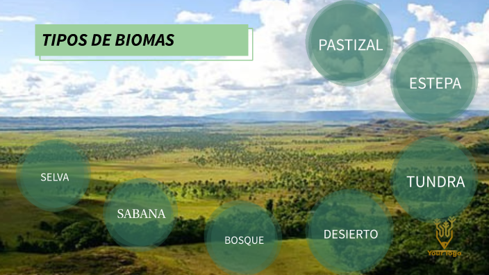 tipos de biomas by andres somosa on Prezi