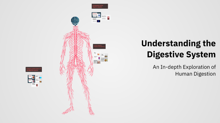 Understanding the Digestive System by school dimotiko on Prezi