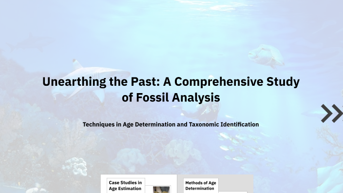 Unearthing the Past: A Comprehensive Study of Fossil Analysis by El ...
