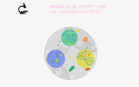 TRABAJO DE TP,TPT Y INR. by Manuela Quintero on Prezi