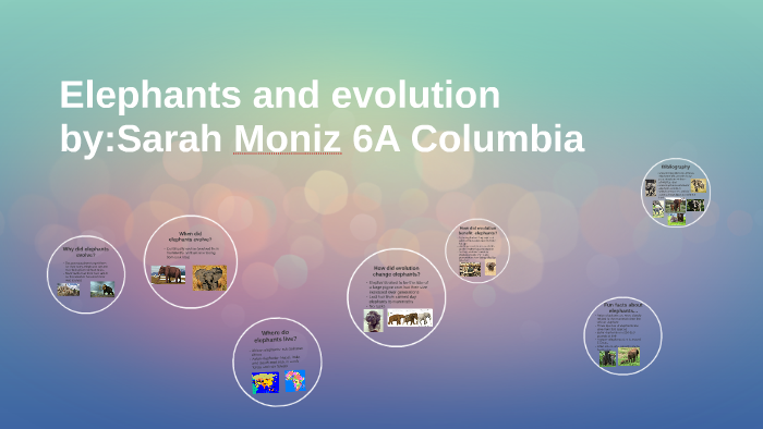 Elephants evoltion by Sarah Moniz by Sarah MONIZ on Prezi