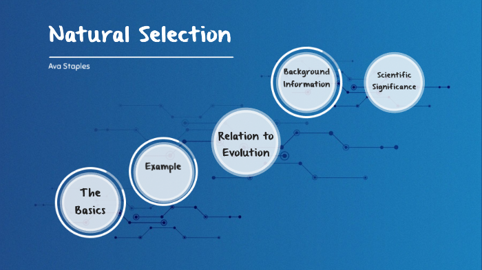 Evolution Project- Natural Selection by Ava Staples on Prezi