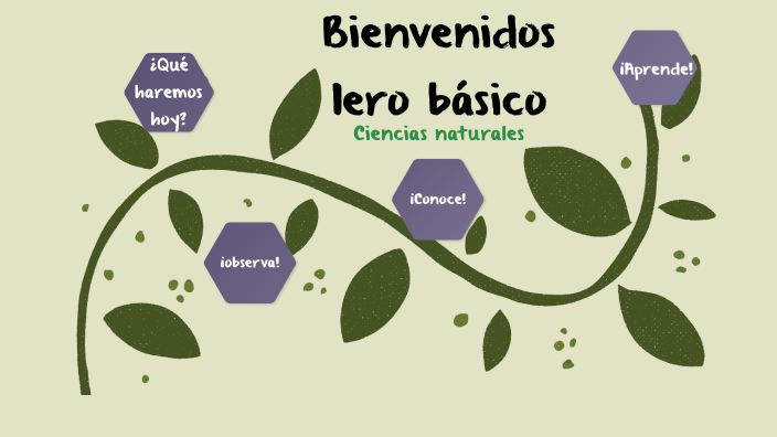 Clase de Ciencias by Cata Angeles Moya on Prezi