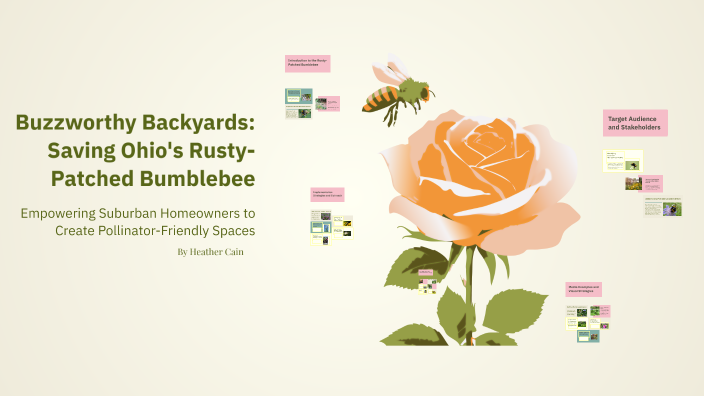 Buzzworthy Backyards: Saving Ohio's Rusty-Patched Bumblebee by Heather ...