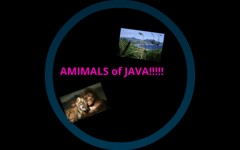ANIMALS OF JAVA!!!!!!!! by Randi Brouillette on Prezi