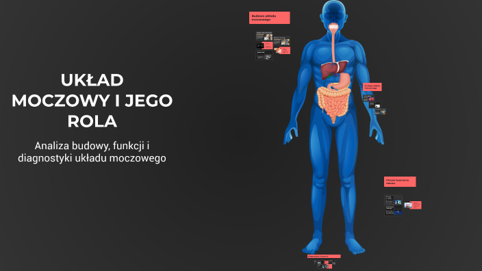 UKŁAD MOCZOWY I JEGO ROLA by Marta Klimkiewicz on Prezi