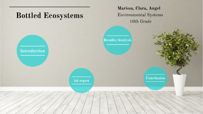 Eco column lab report by Marissa Rosas on Prezi