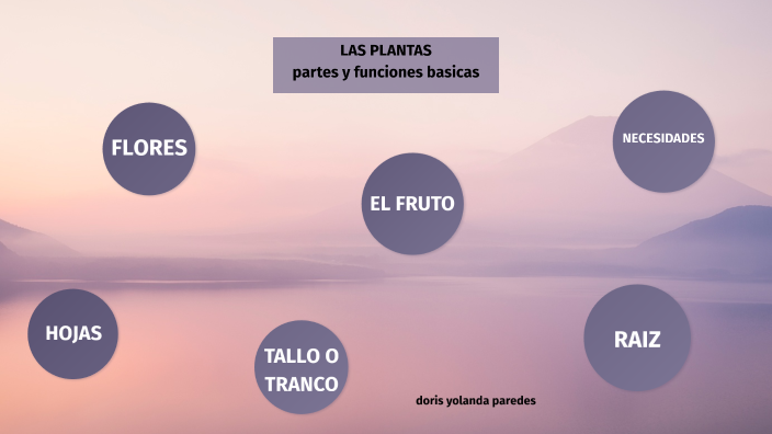 Doris yolanda paredes escalante by yolanda paredes on Prezi