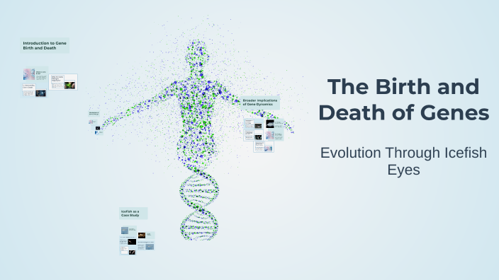 The Birth and Death of Genes by Cagney Kwiatkowski on Prezi