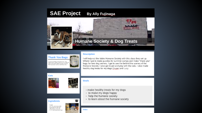 SAE Project by A F on Prezi