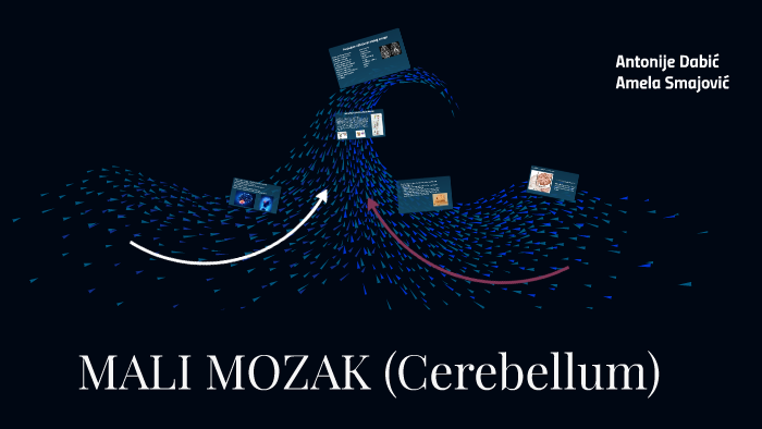 MALI MOZAK (Cerebellum) by Антоније Дабић on Prezi