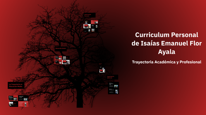 Curriculum Personal de Isaías Emanuel Flor Ayala by Lucia Janette ...