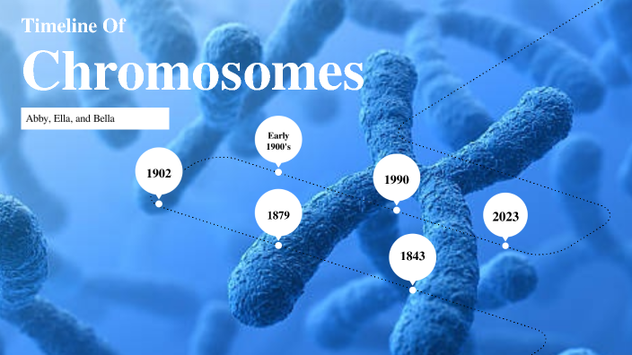 Timeline in chromosomes by Student Abigayle Denker on Prezi