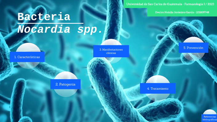 Bacteria Nocardia by Natalia Jerónimo on Prezi