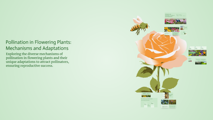 Pollination in Flowering Plants: Mechanisms and Adaptations by Arby ...