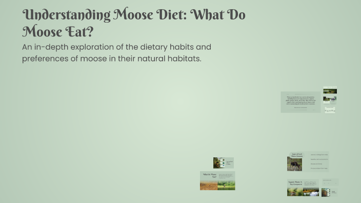 Understanding Moose Diet: What Do Moose Eat? by Aryan Jain on Prezi