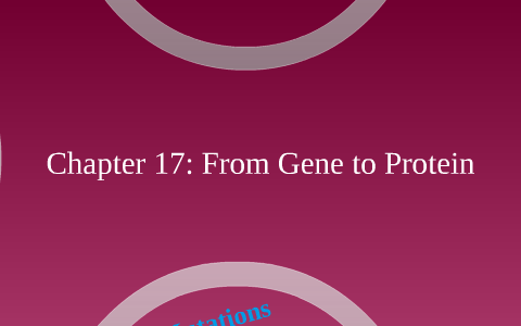AP Biology Chapter 17 Review by Elena Michaels on Prezi