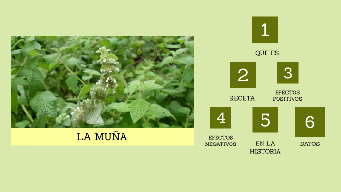 LA MUÑA by ALISON RODRIGUEZ on Prezi