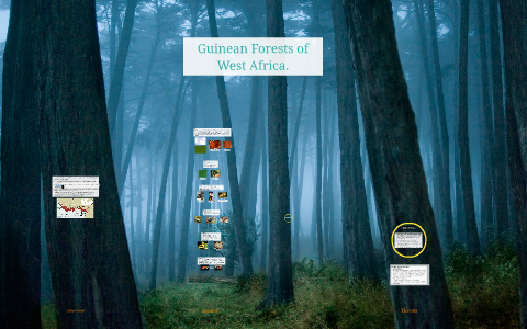 Guinean Forests of West Africa. by on Prezi