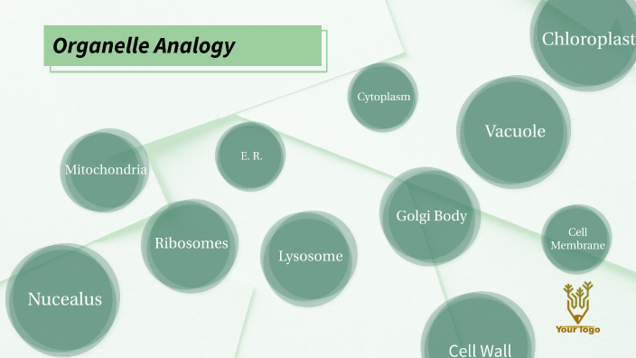 School Organelle Analogy by Destiny Floyd on Prezi