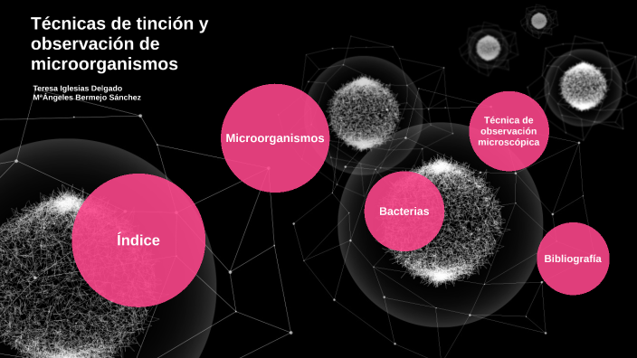 Técnicas de tinción y observación de microorganismos by Teresa Iglesias Delgado on Prezi