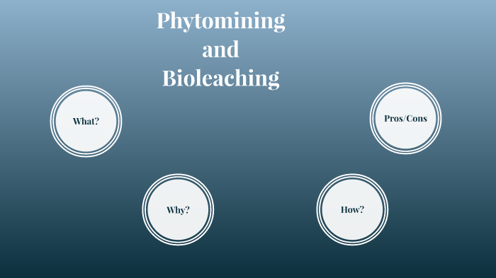 Phytomining & Bioleaching by bilha gesöne on Prezi