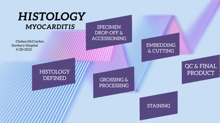 Myocarditis by Chelsea McCracken on Prezi