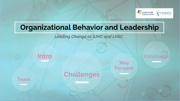 Leading change at SJHC and LHSC by Akif Ali on Prezi
