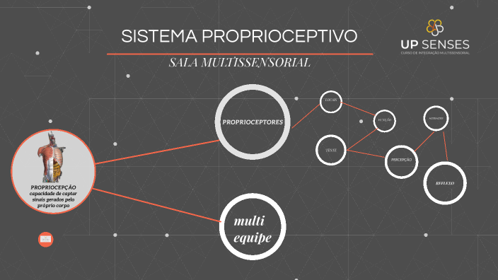 SISTEMA PROPRIOCEPTIVO by Eliane Pereira dos Santos on Prezi