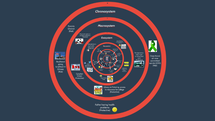 Ecological Systems Chart by Lindsay O'Hearn
