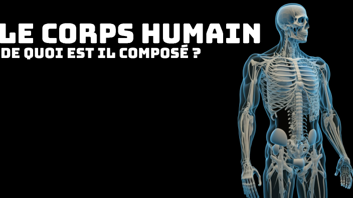 LE CORPS HUMAIN by DIEGO ROBERT on Prezi