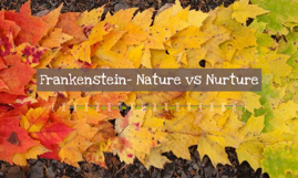 Frankenstein- Nature vs Nurture by Valerie Sanchez on Prezi