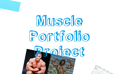 Human Anatomy and Physiology Muscle Portfolio Project by Amber Byers on ...