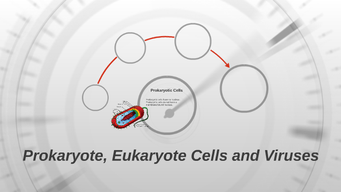 Prokaryote, Eukaryote Cells and Viruses by Seren difford on Prezi