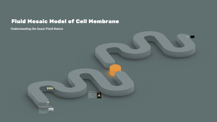Fluid Mosaic Model of Cell Membrane by Aadya J on Prezi