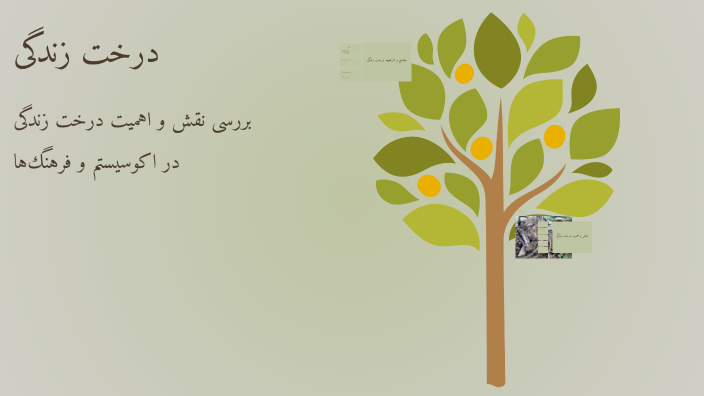 درخت زندگی by nva Hsanz on Prezi