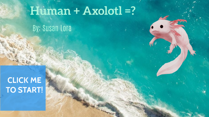 Axolotl + Humans by Susan Lora on Prezi