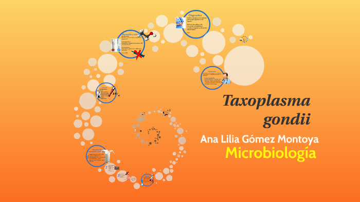 Taxoplasma by Ana Gomez on Prezi
