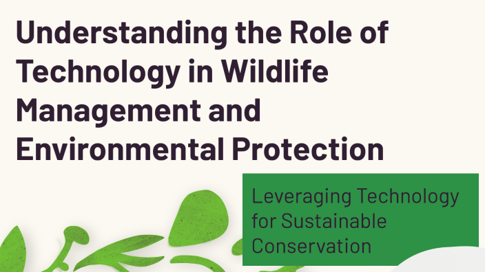 Understanding the Role of Technology in Wildlife Management and ...