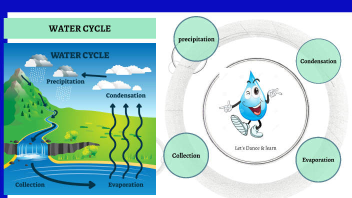 water cycle by Tarishi Sahai on Prezi