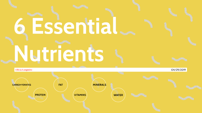 6 Essential Nutrients By Olivia Longmire On Prezi